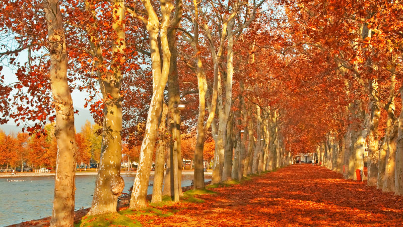 10 Best Countries to Visit in the Fall - MapQuest Travel