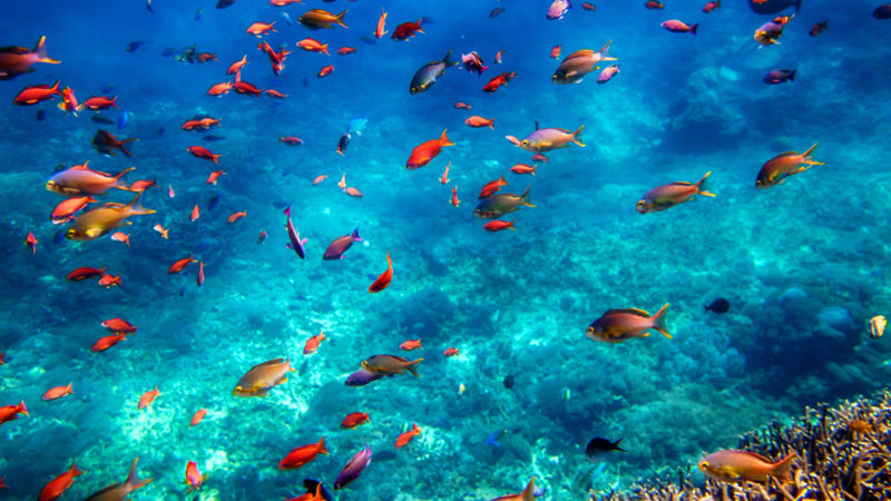 10 Things to See and Do in Bali - MapQuest Travel