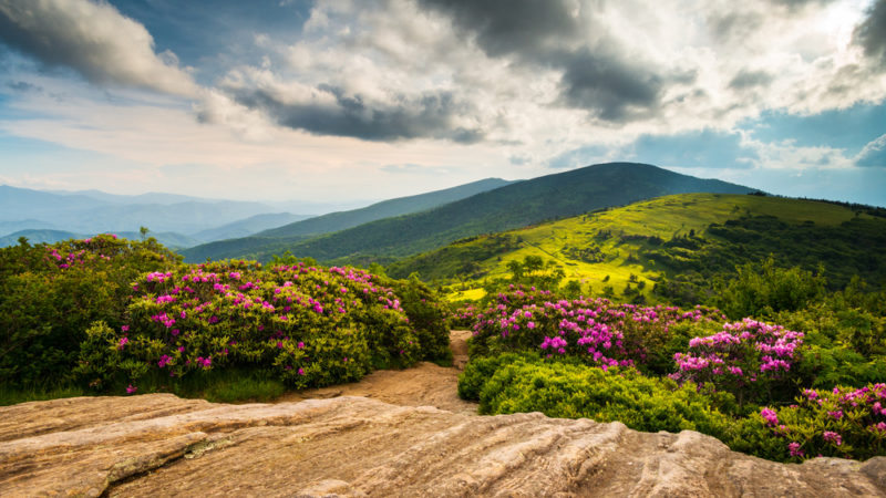 The World's 12 Most Beautiful Rainforests - MapQuest Travel