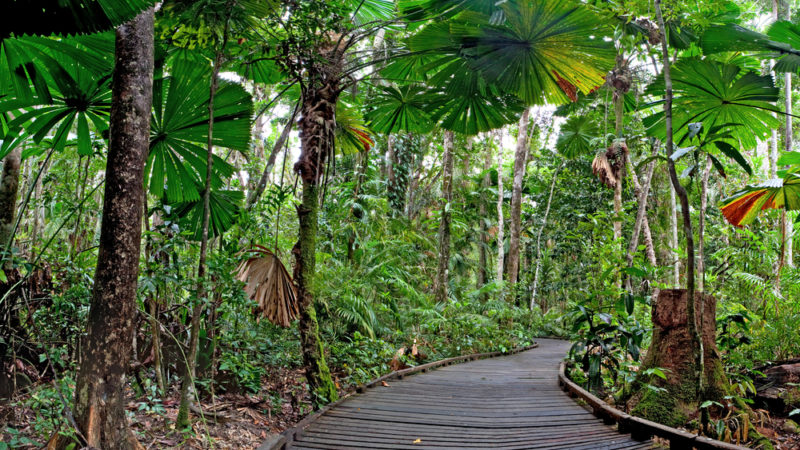 The World's 12 Most Beautiful Rainforests - MapQuest Travel