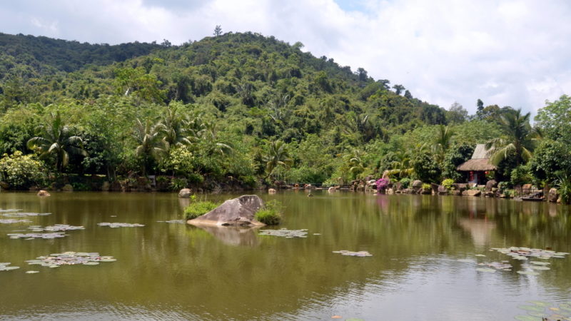 The World's 12 Most Beautiful Rainforests - MapQuest Travel