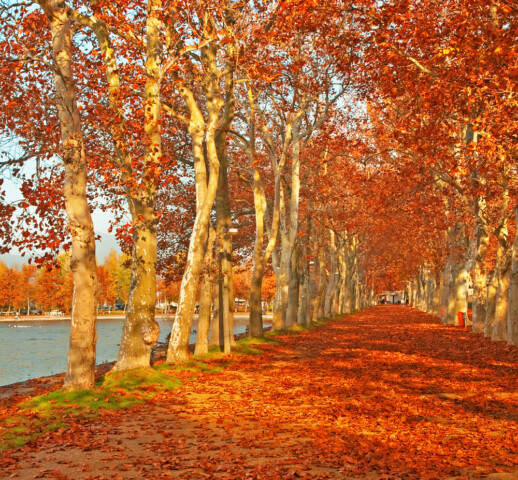 10 Best Countries to Visit in the Fall - MapQuest Travel