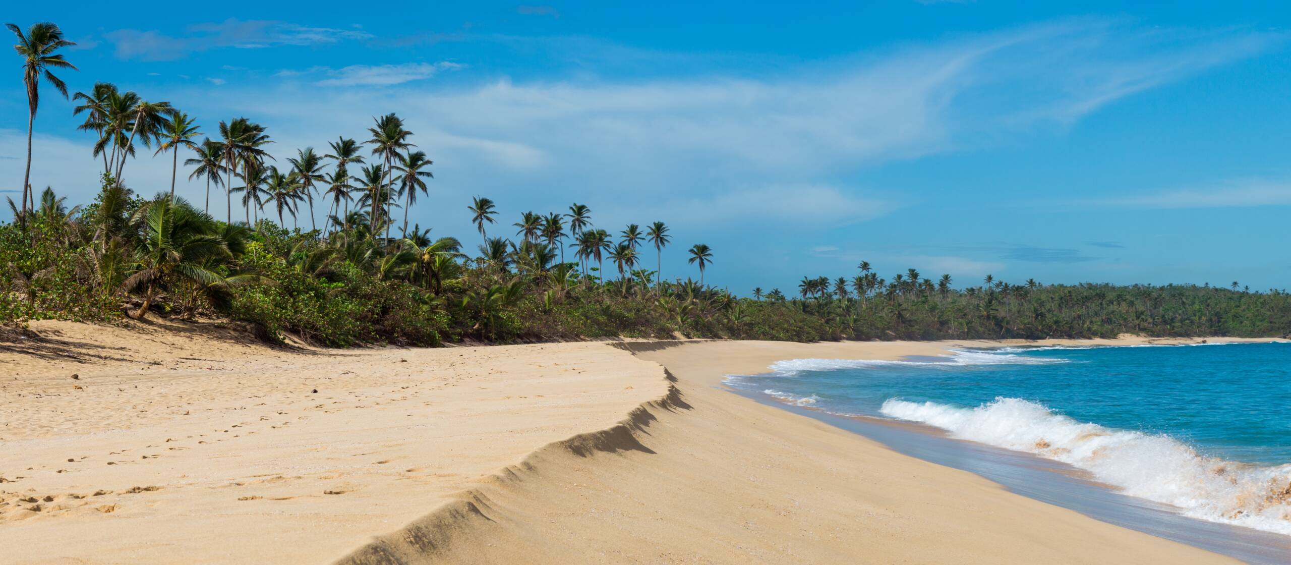Everything You Need to Know About Puerto Rico in the Caribbean ...